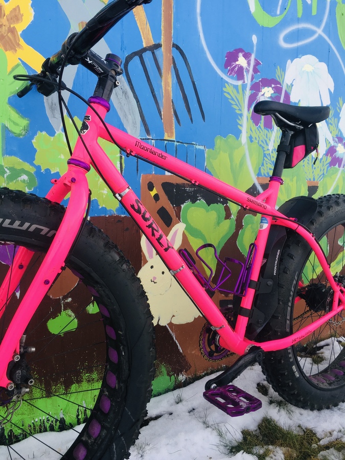 2013 Surly Moonlander