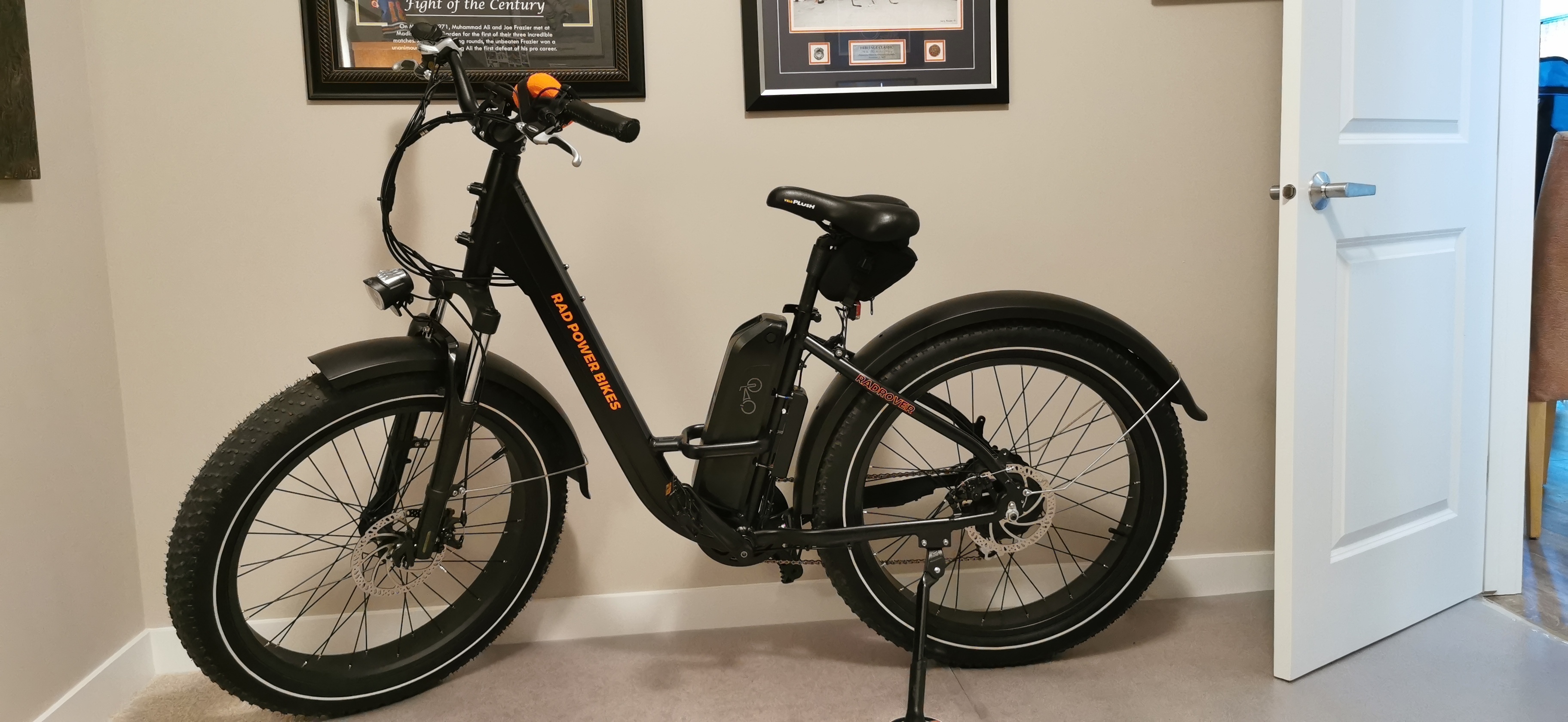 2020 Rad Power Bikes Step Thru