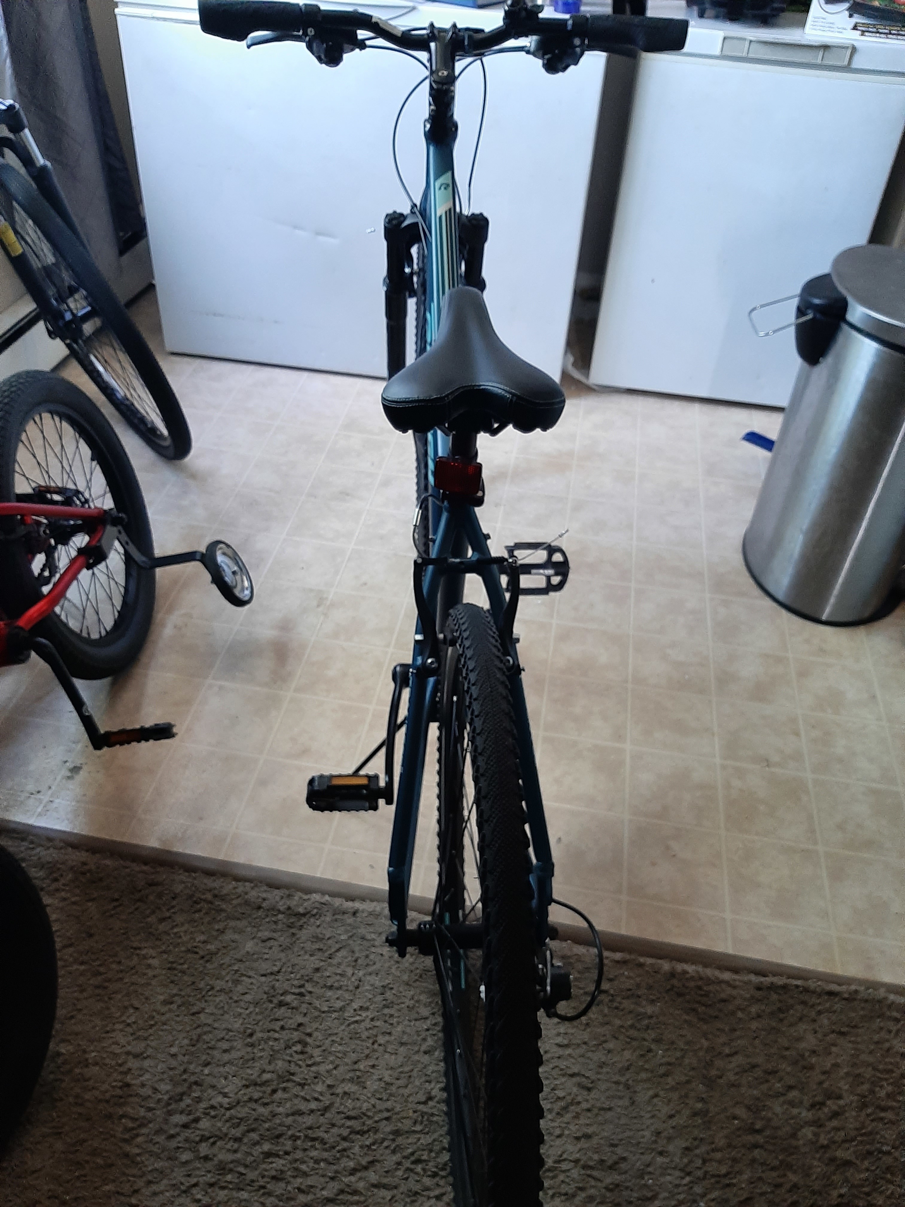 2021 Raleigh Raleigh Route Womens