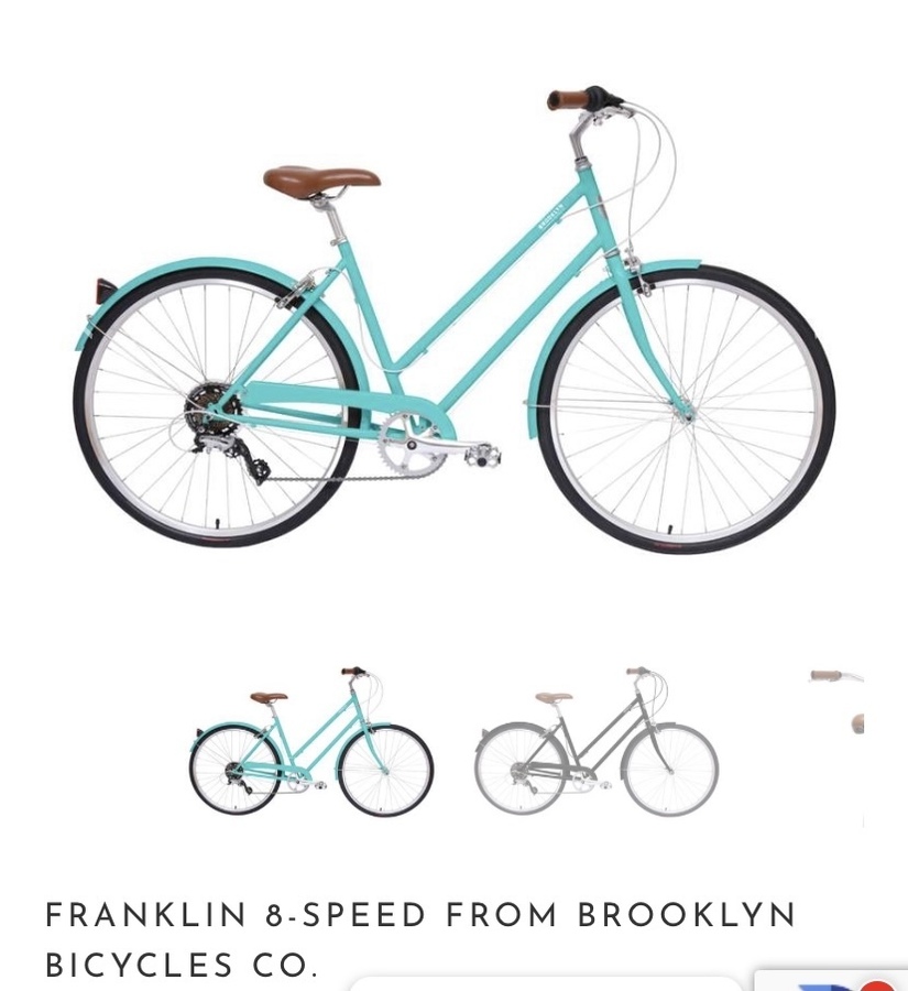2021 Brooklyn Bicycle Co. Brighton
