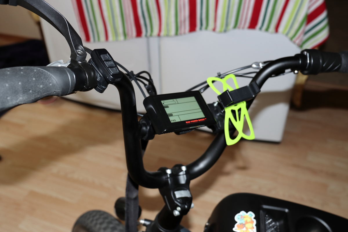 2020 Rad Power Bikes Rad Runner 1