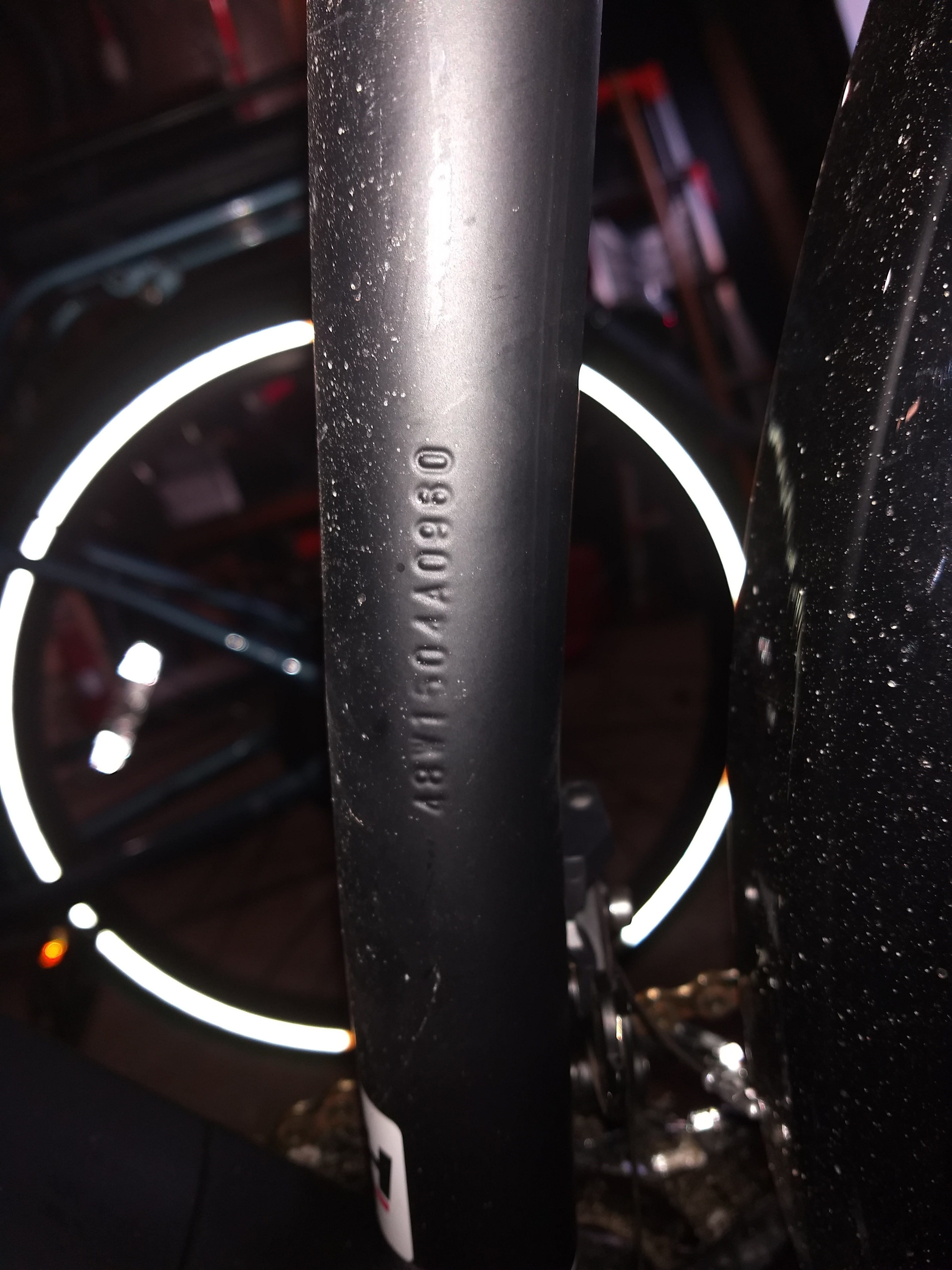 2019 Easy Motion EVO Snow