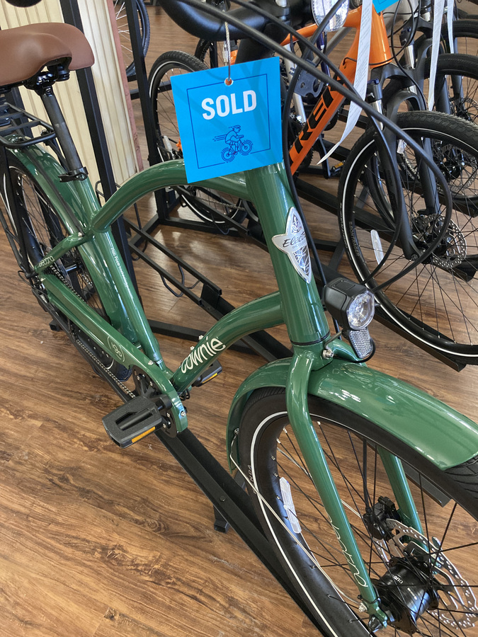 2021 Trek Townie Path 9D EQ Step-Over