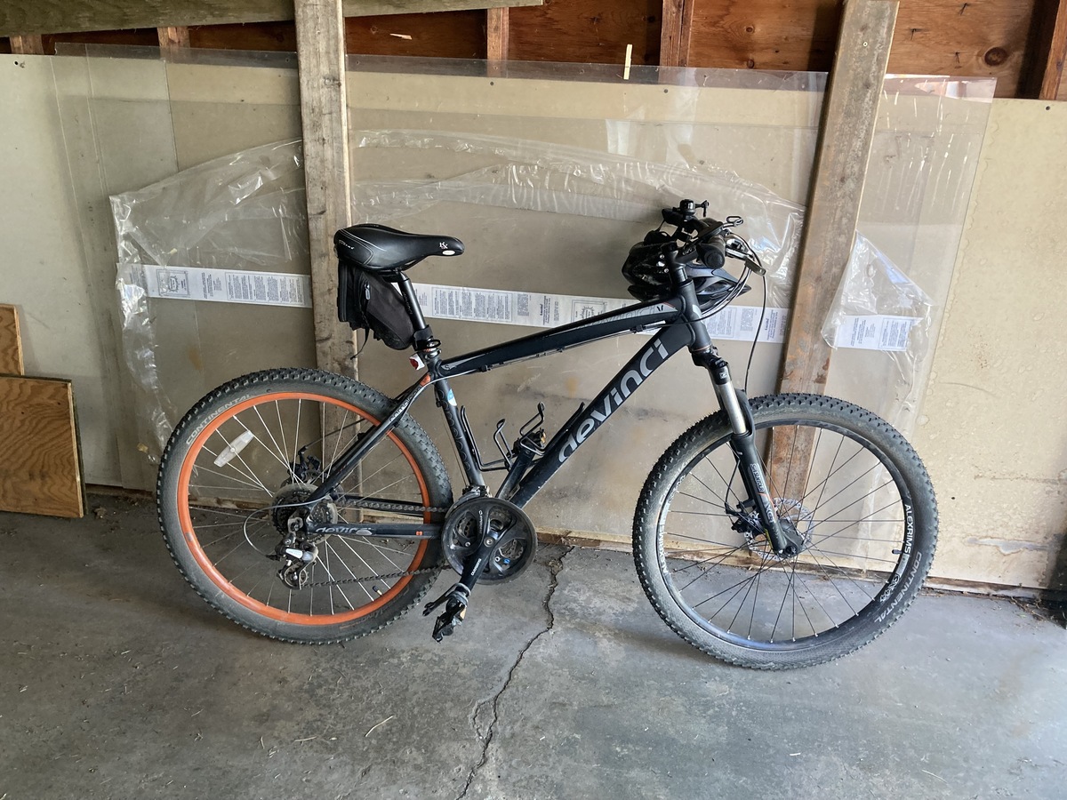 2013 Devinci Cameleon