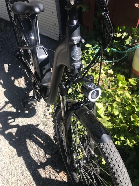 2021 Rad Power Bikes Step-Thru Electric Commuter Bike