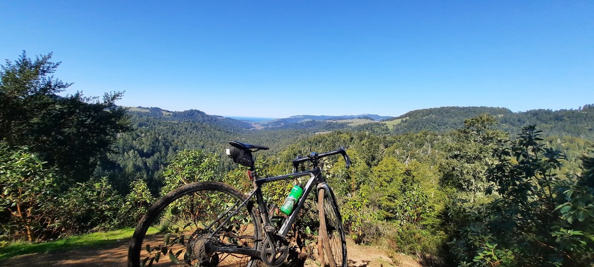 2017 Jamis Renegade Expert