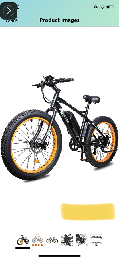 2020 Ecotric Ebike