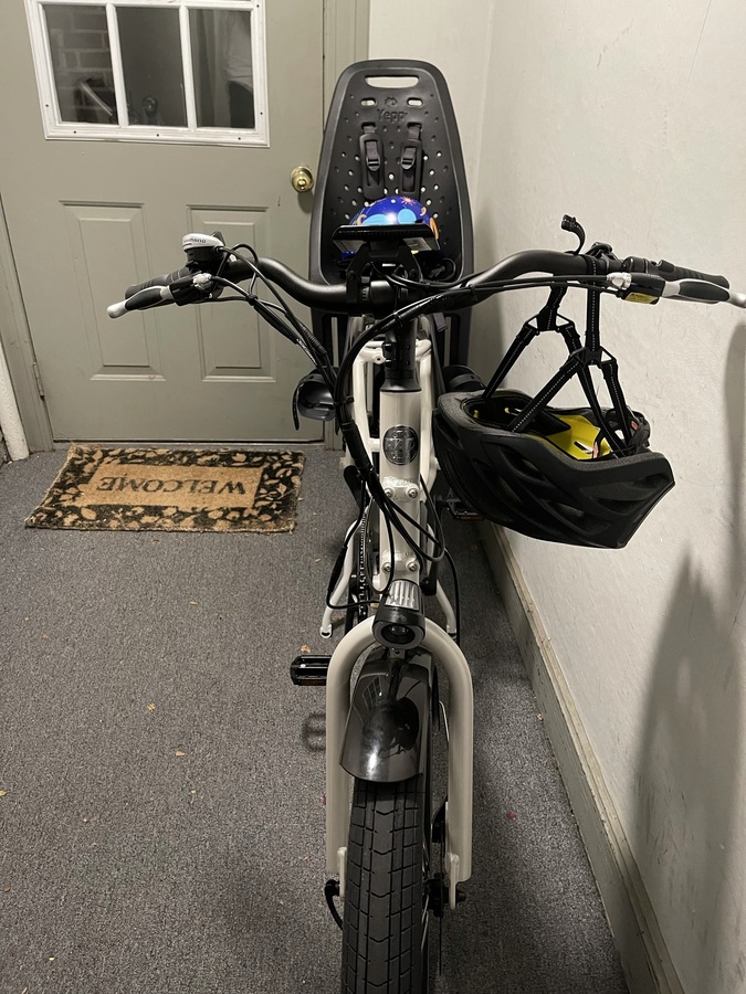 2020 Rad Power Bikes RadWagon 4 cargo bike rear