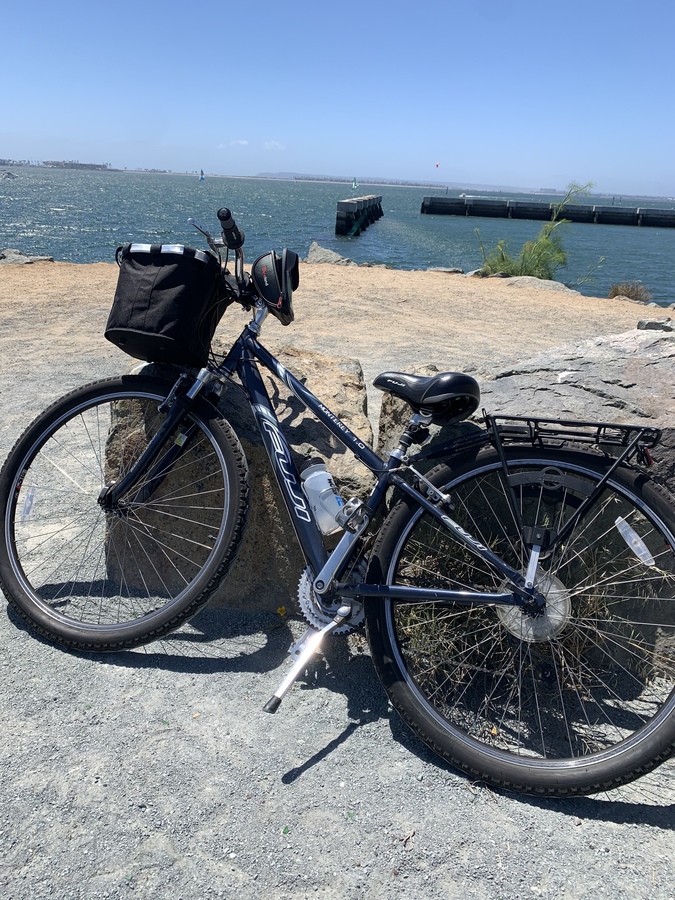 2006 Fuji Monterey 1.0