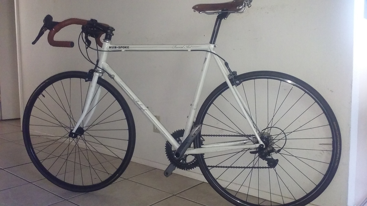 2010 Raleigh Record Ace