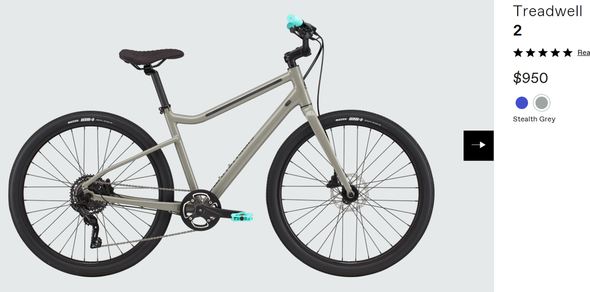 2021 Cannondale Treadwell 2