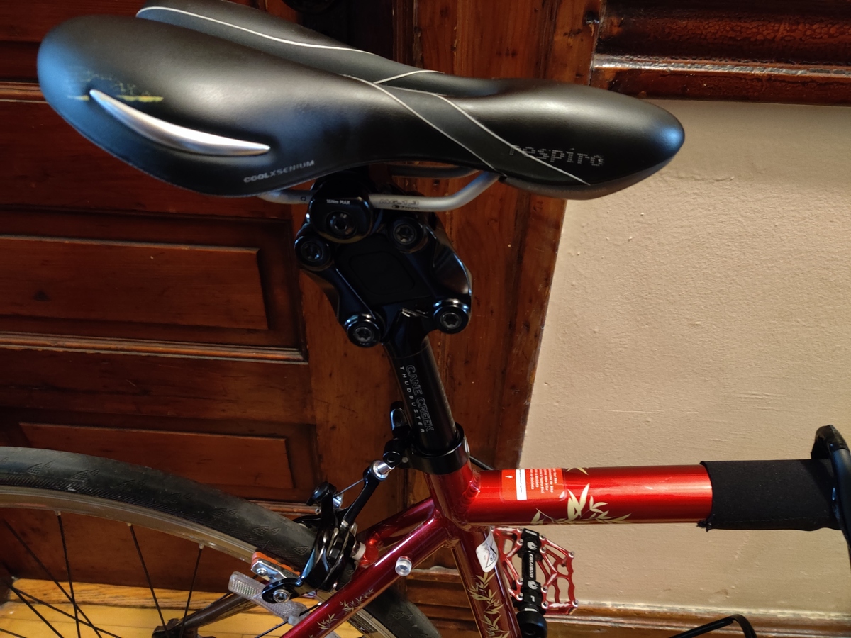 2009 Specialized Langster Tokyo