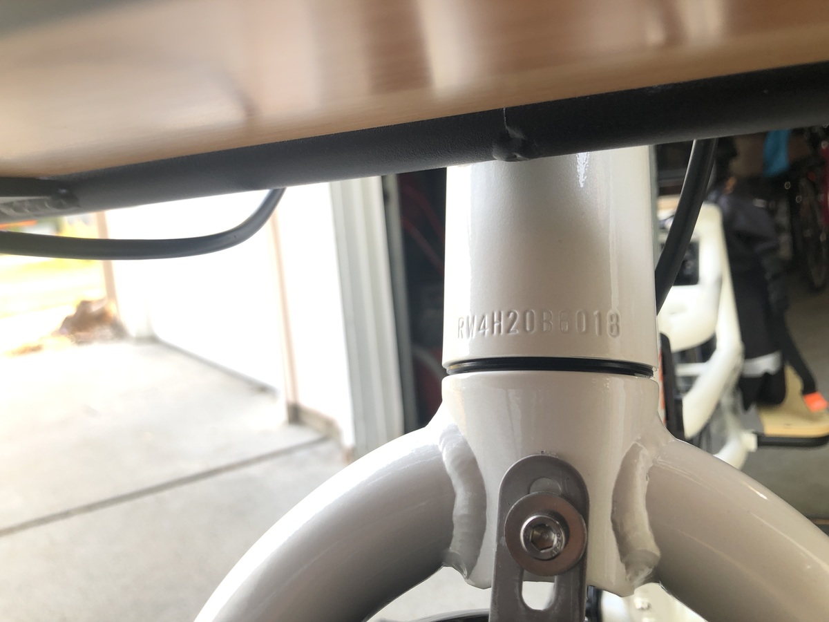 2020 Rad Power Bikes Radwagon