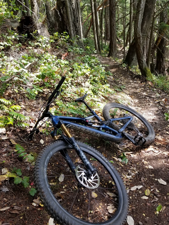 2019 Specialized Stumpjumper Pro