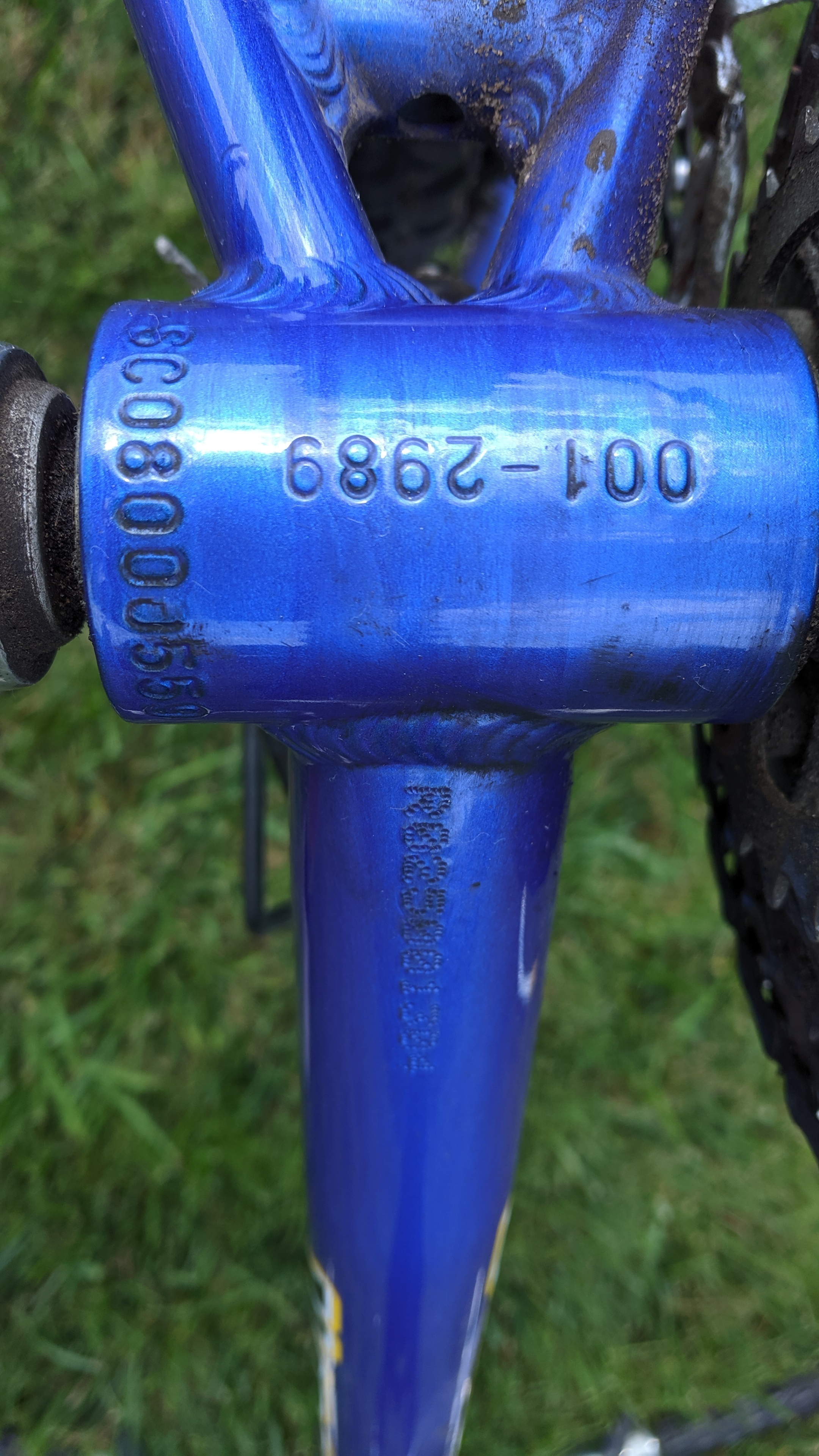 2002 Diamondback Response