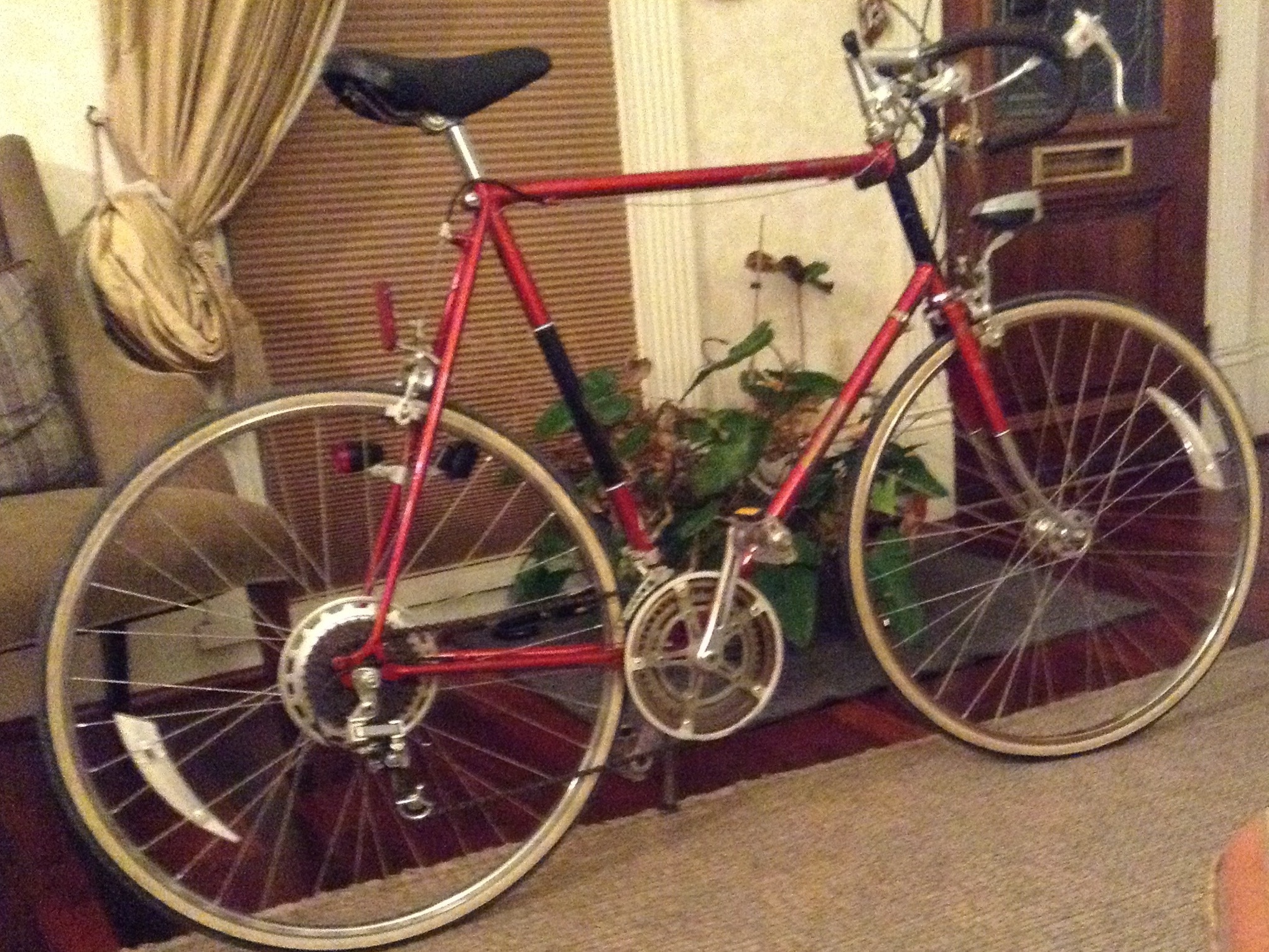 Raleigh Super Record