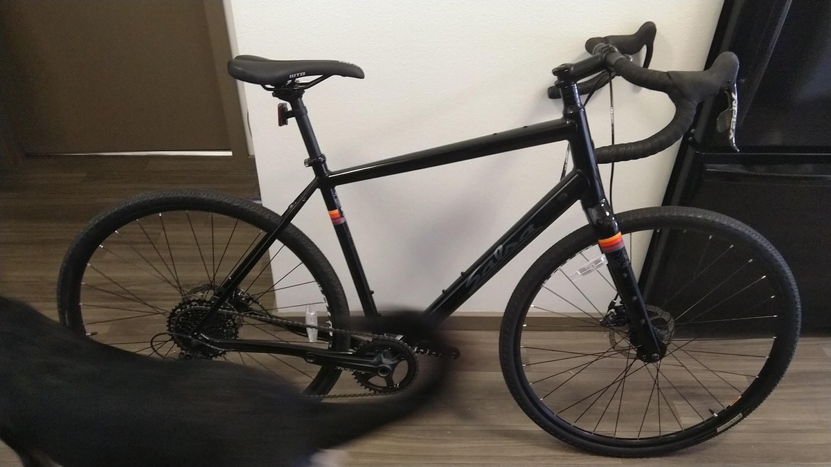 2019 Salsa Journeyman