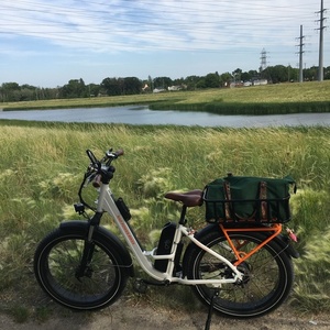 Stolen 2021 Rad Power Bikes Rover Step-through