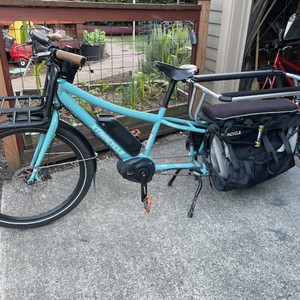 2017 Xtracycle Edgerunner 10e