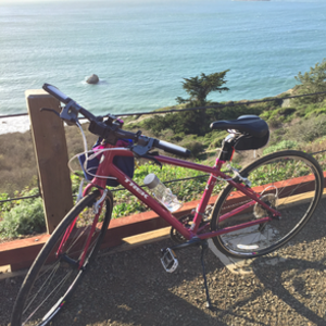 Stolen 2015 Trek 7.5 FX WSD