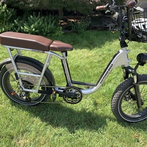 2021 Rad Power Bikes Radrunner Plus