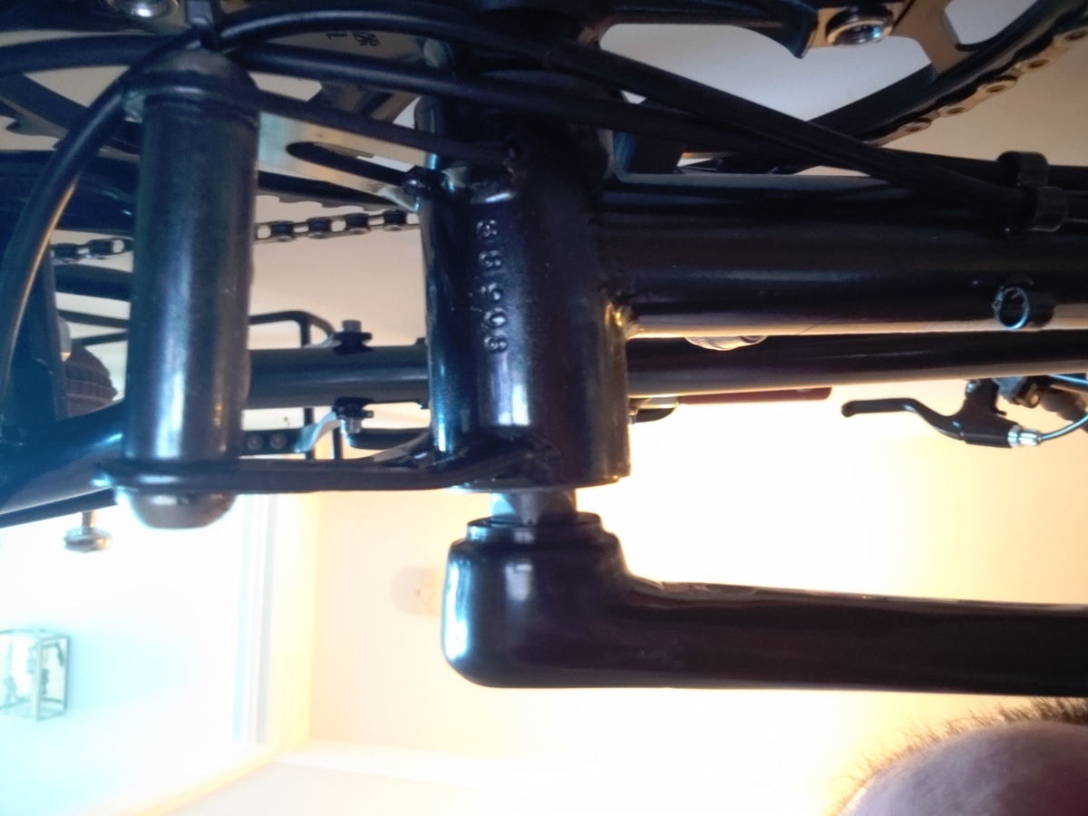 2021 Bike Friday Diamond Llama