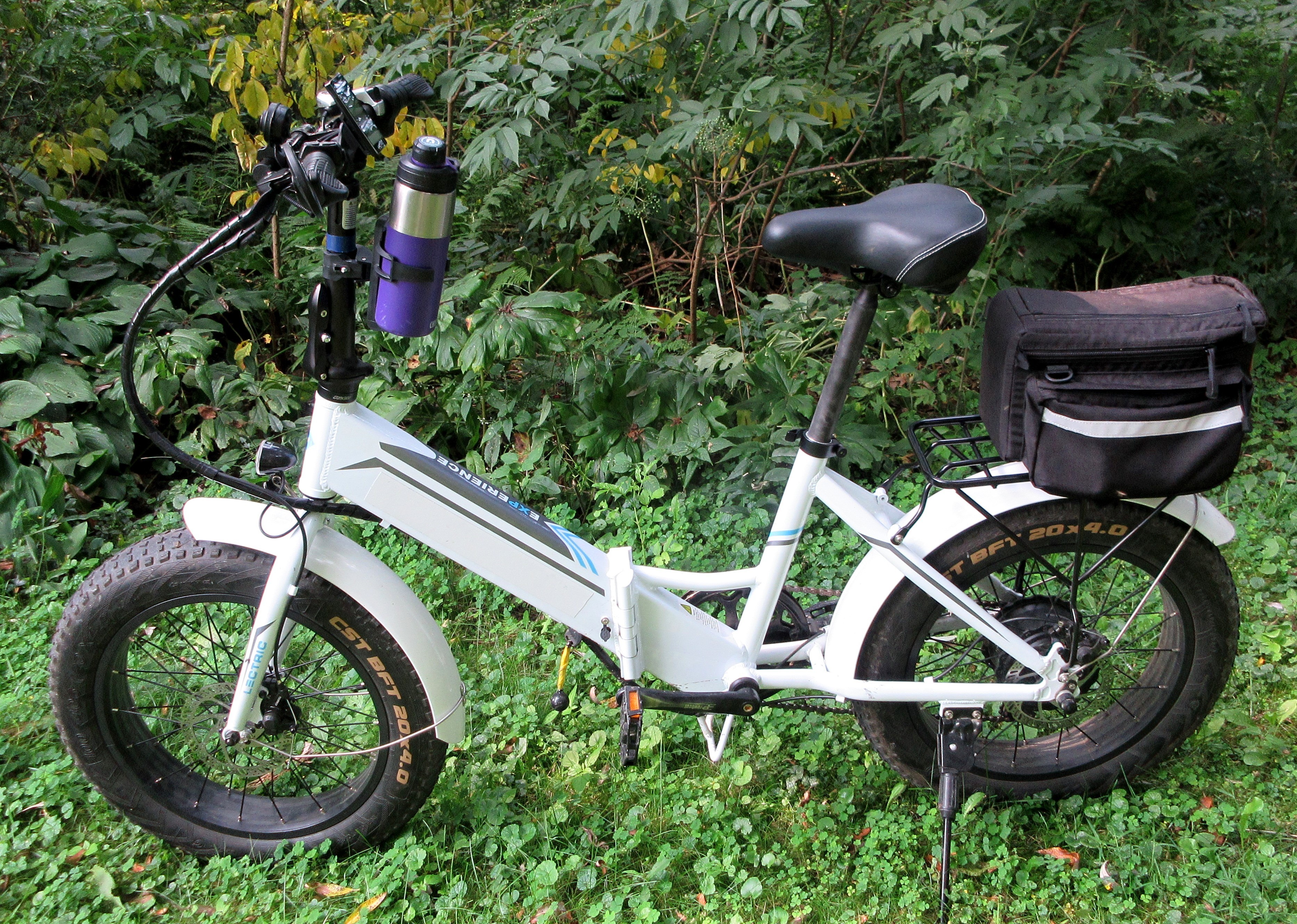 2020 Lectric eBikes Step Thru 1.0