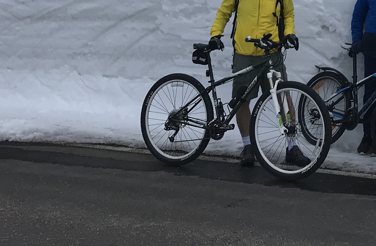 Stolen 2013 Novara Intrepid 29er