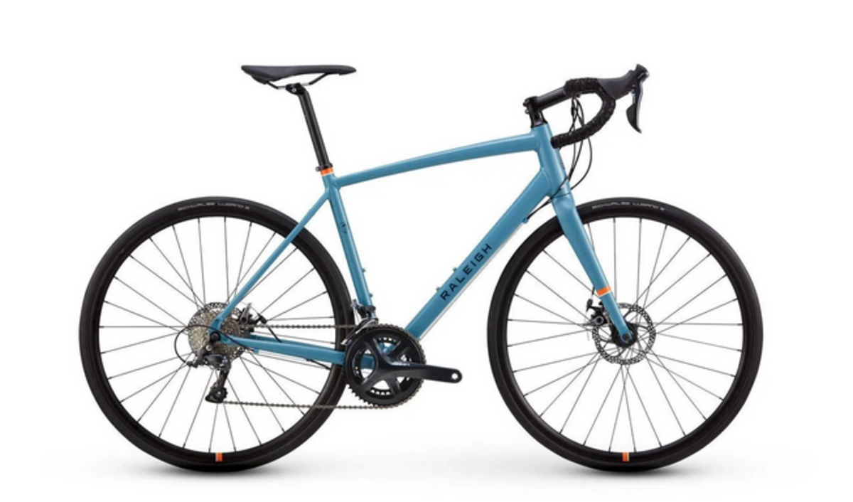 2020 Raleigh Merit 3