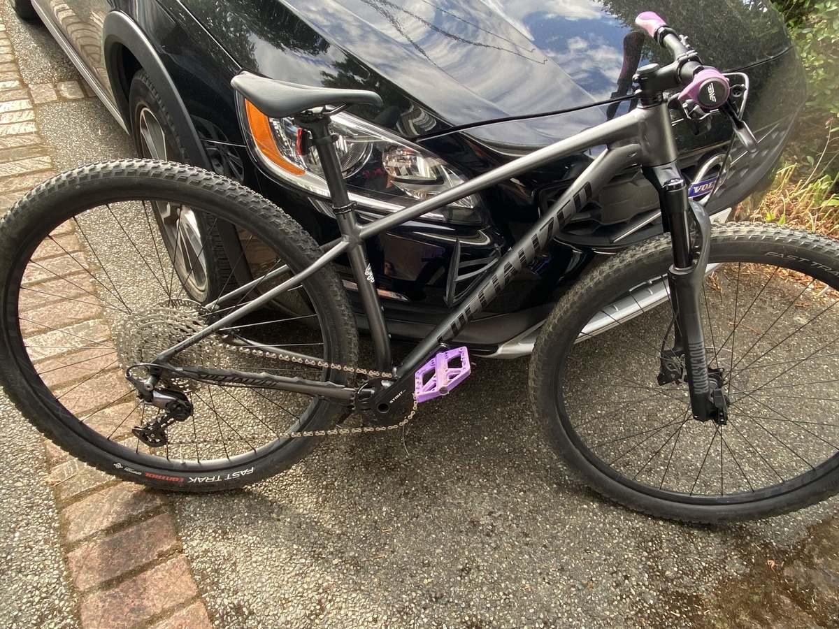 2020 Specialized Chisel