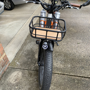 2021 Rad Power Bikes Step Through