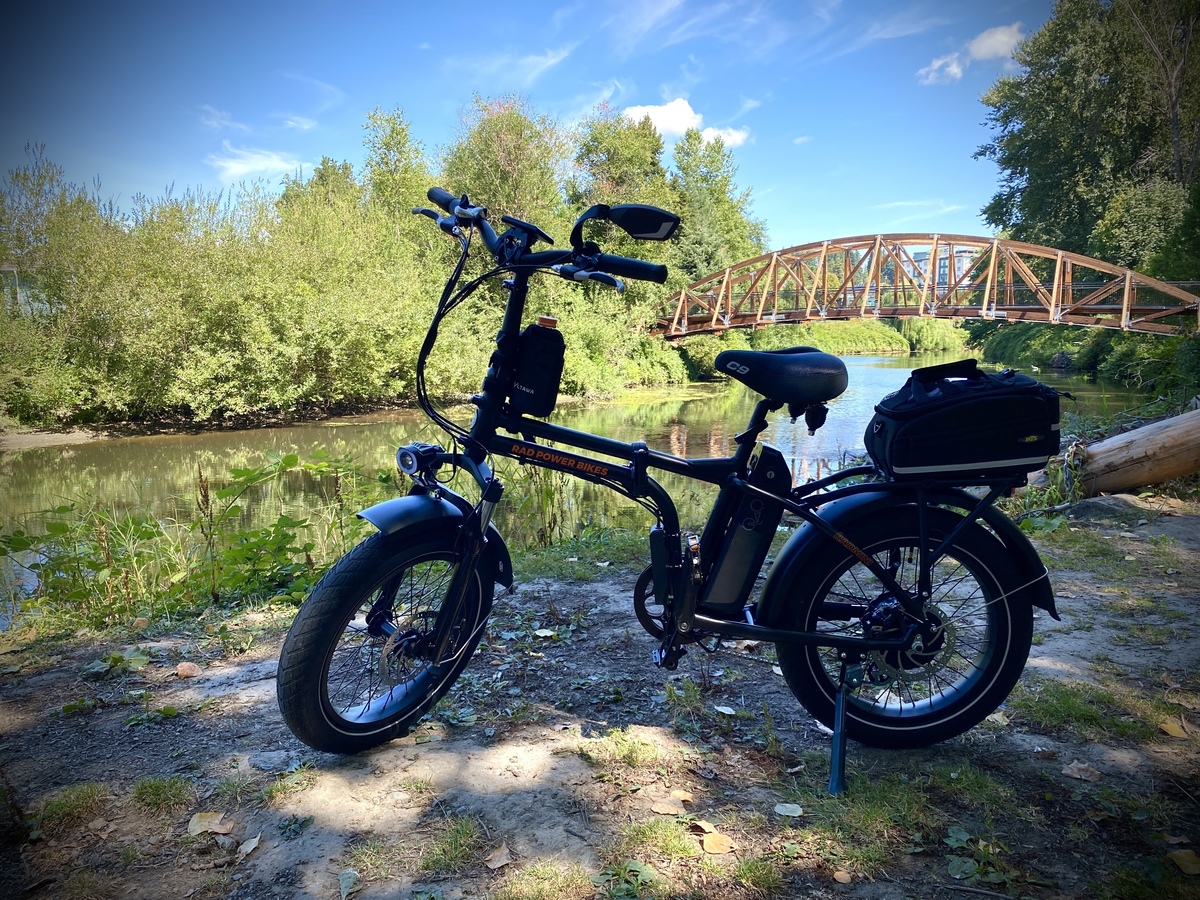 2021 Rad Power Bikes Mini 4 High Step