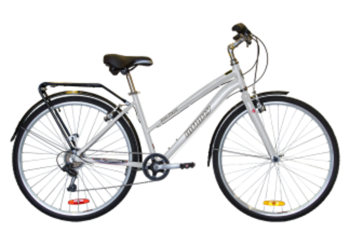 Stolen 2021 Shimano Infinity Boss Three 700 C