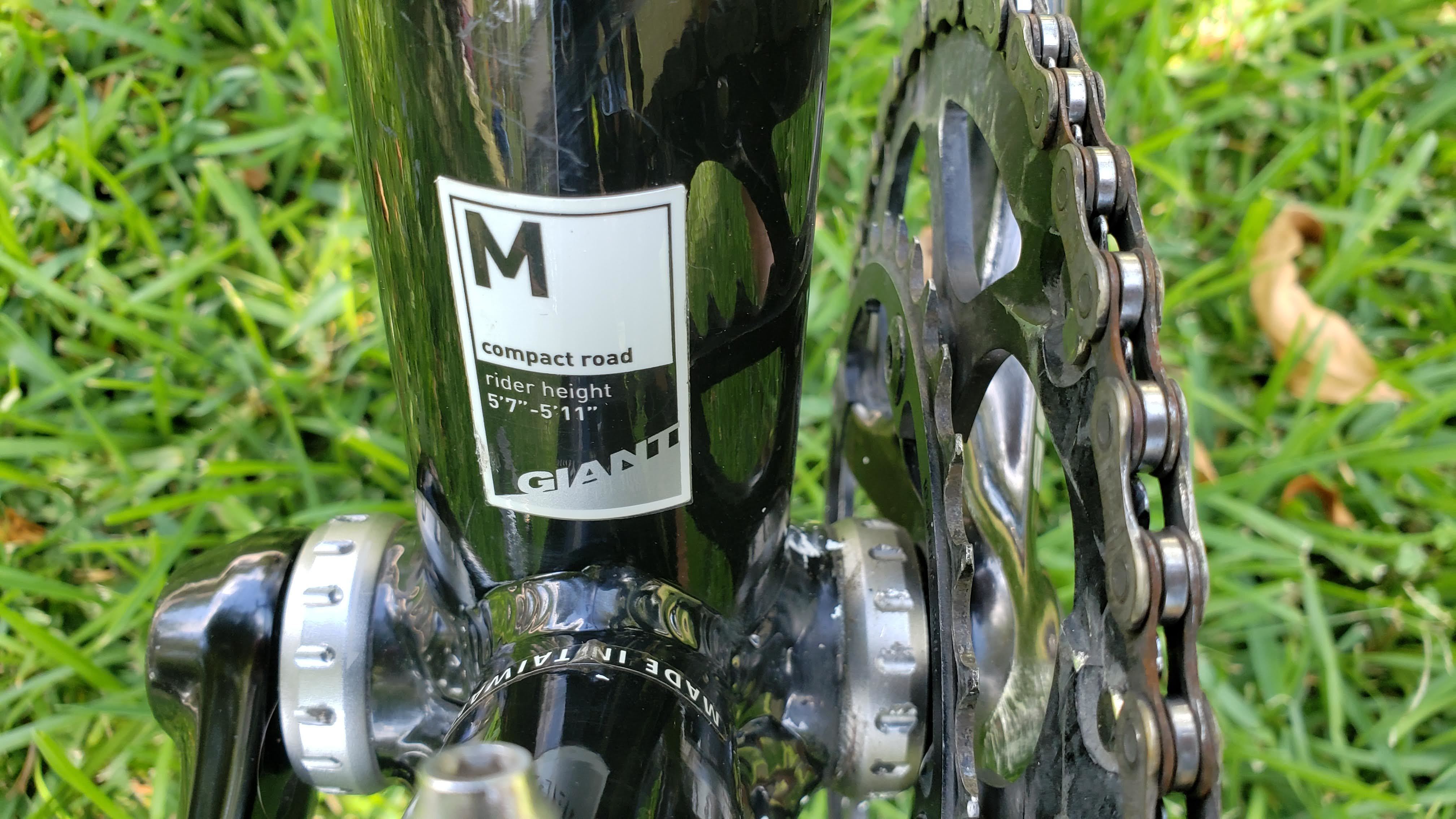 2010 Giant Defy 2 (COMPACT)