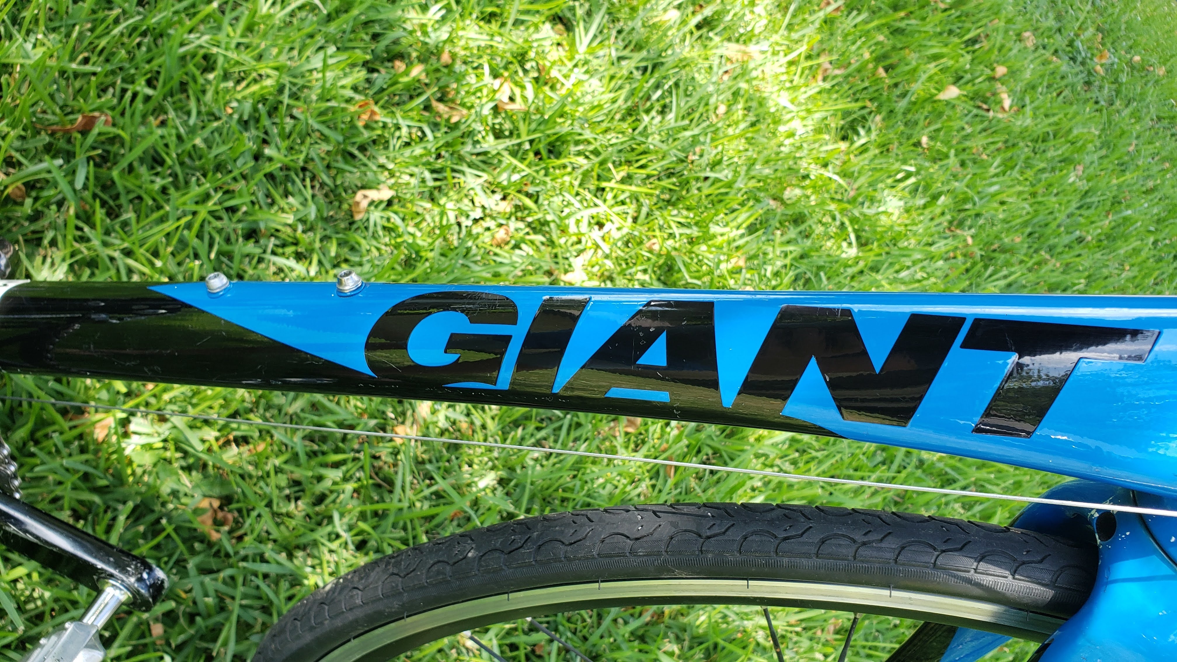 2010 Giant Defy 2 (COMPACT)