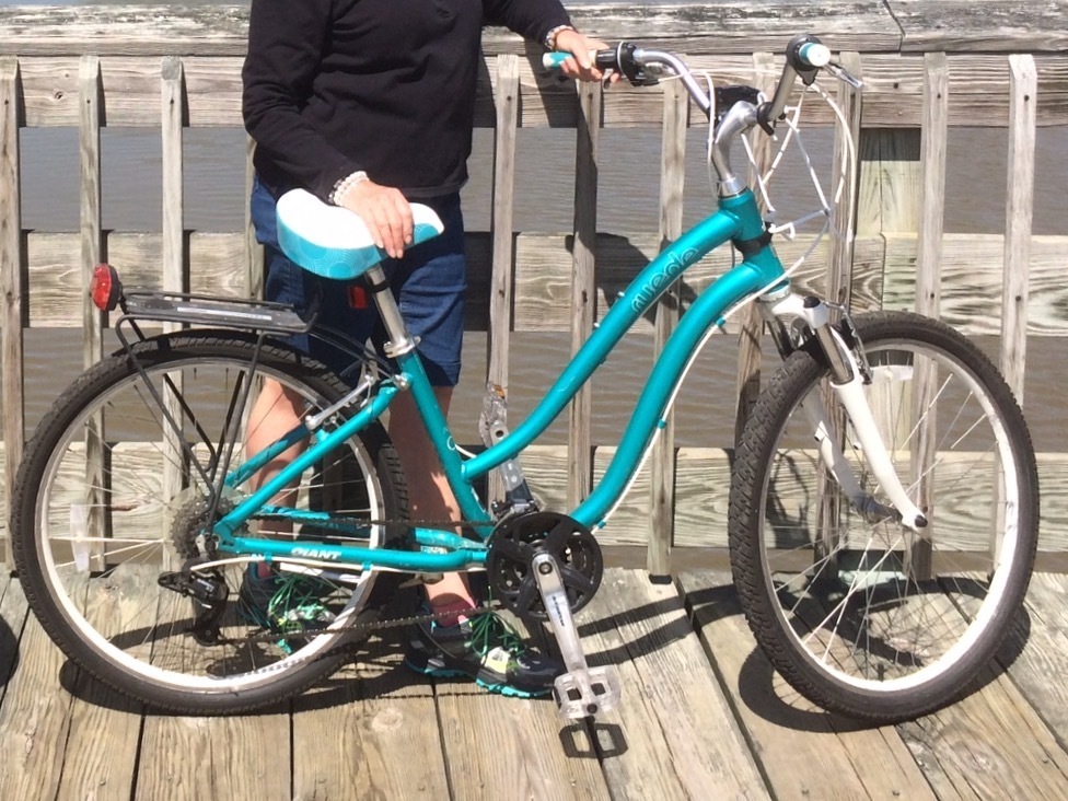 2010 Giant Suede DX W
