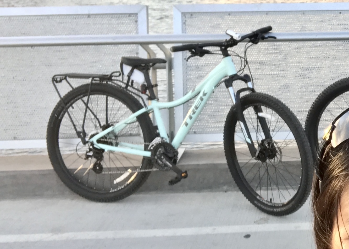 Stolen 2018 Trek Skye SL