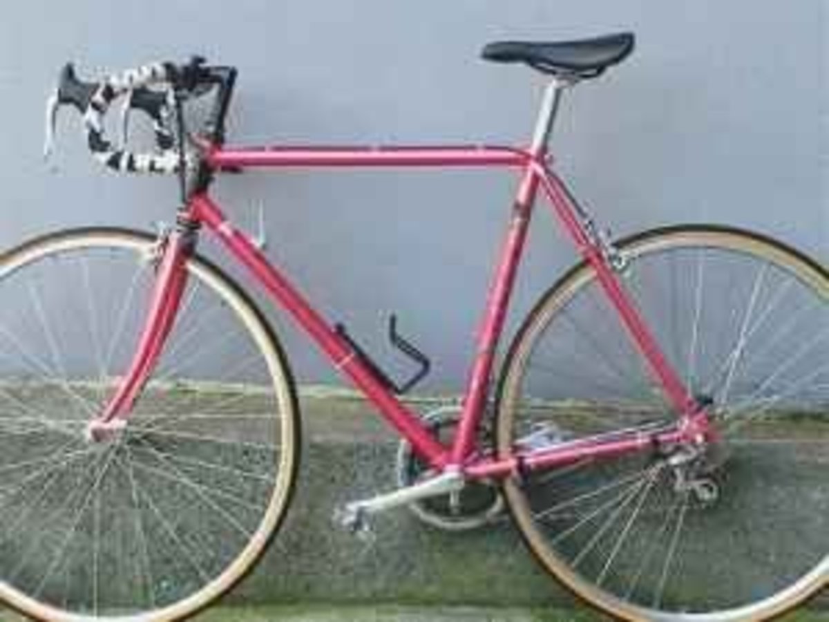 Stolen 1987 Fuji Team Fuji