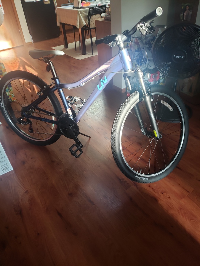 2021 Giant Liv Women's Bliss Bike X-Small Eclipse