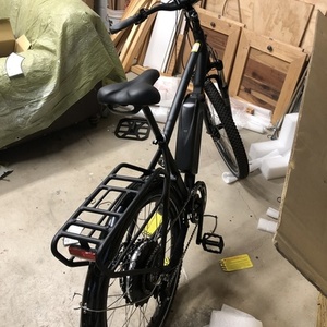 2021 Rad Power Bikes Rad City