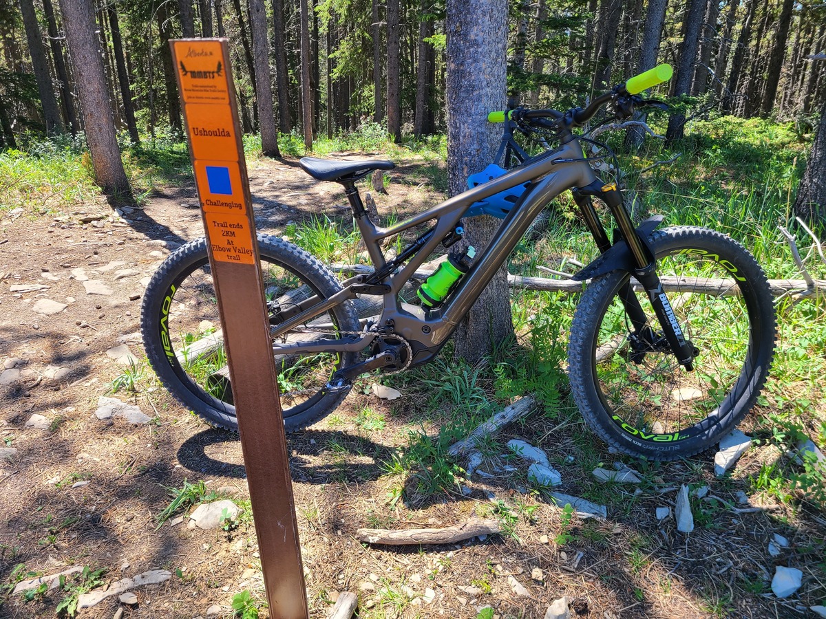 2021 Specialized Kenevo