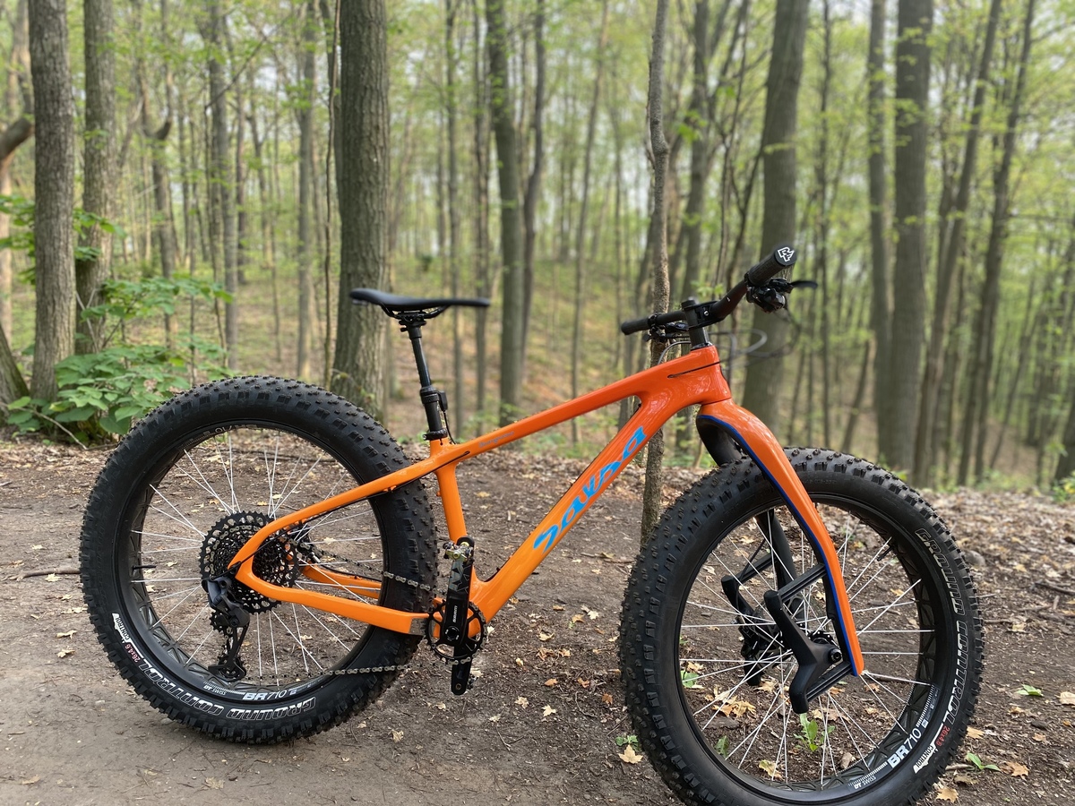 2017 Salsa Beargrease