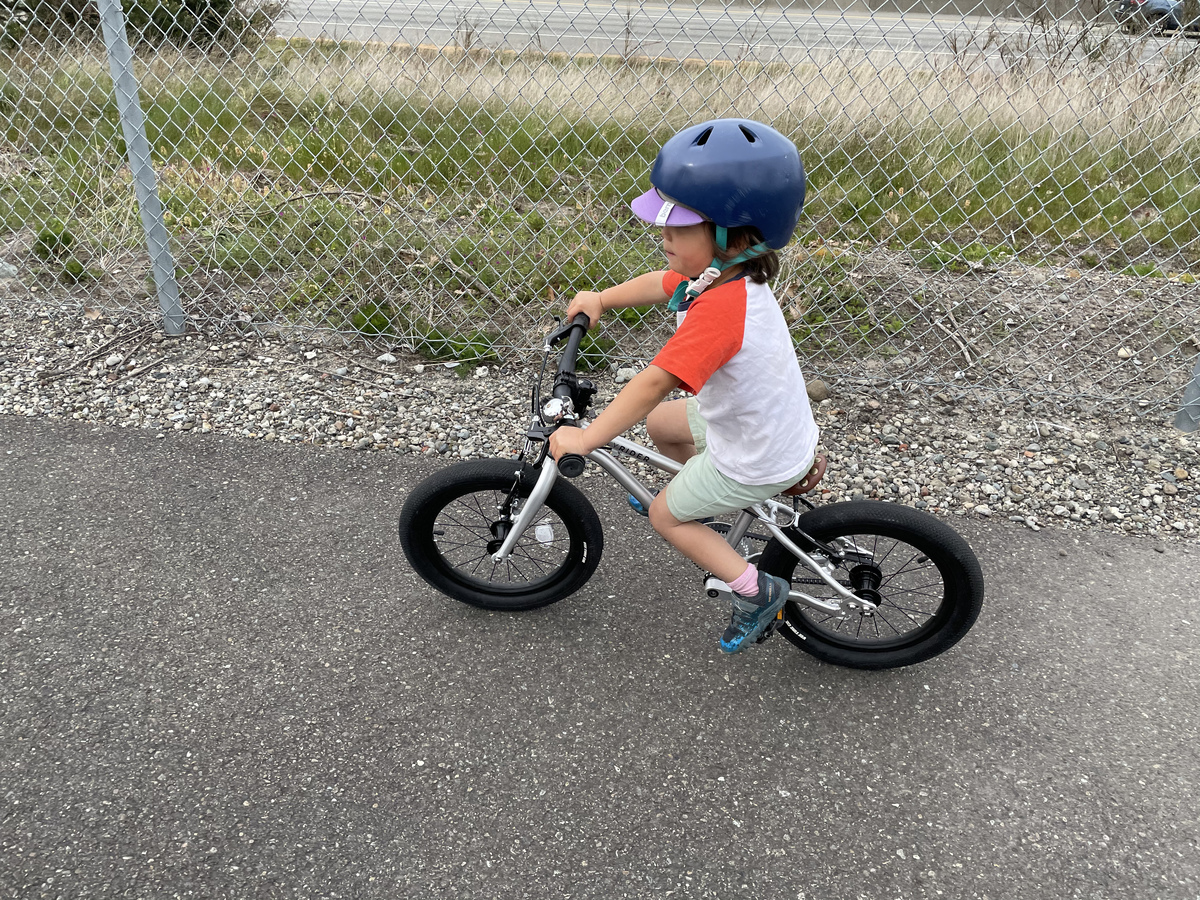 2020 Early Rider Belter 16