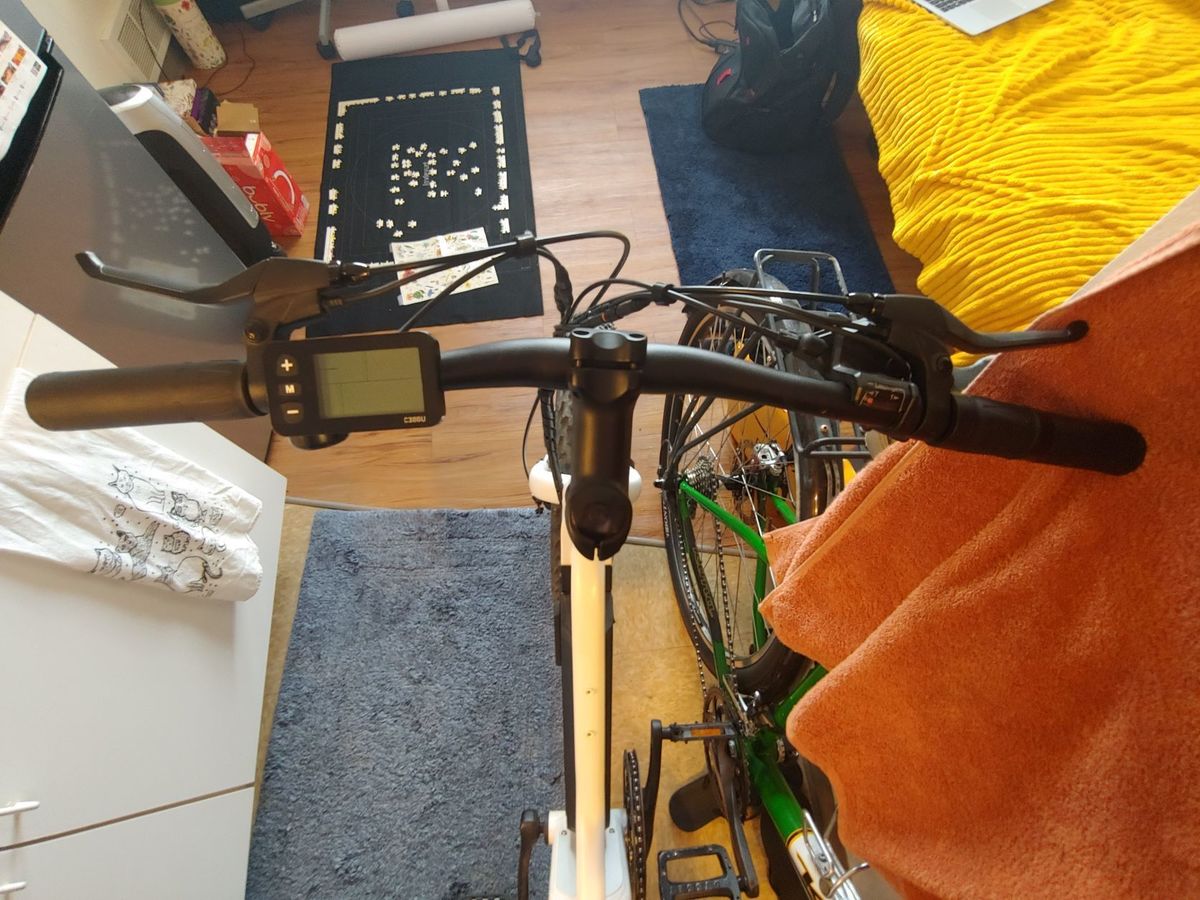 2021 Pedego Element