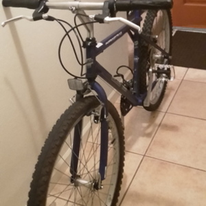 GT Bicycles Outpost Trail mountainbike frame