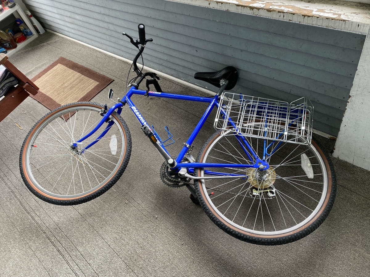 1994 Diamondback Traverse