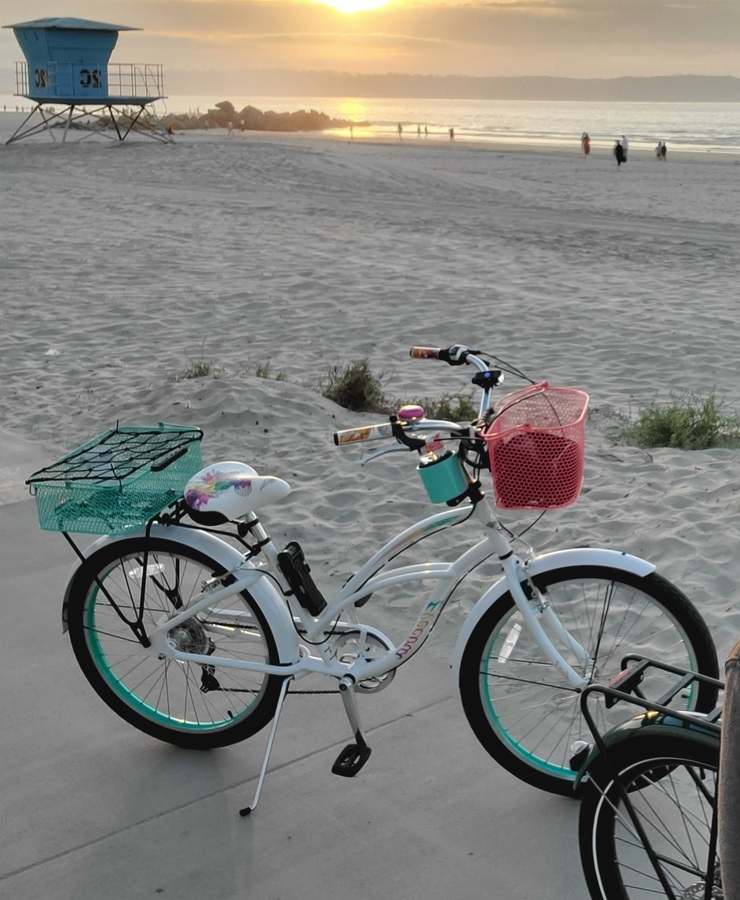 2021 Electra Townie Path 9D EQ