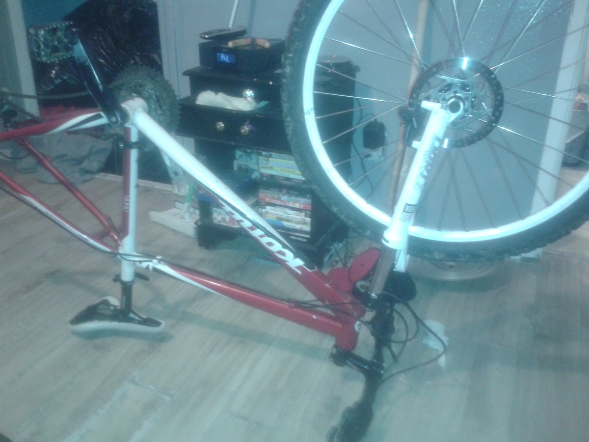 2011 Kona nunu