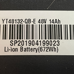 2019 Rad Power Bikes RadRover