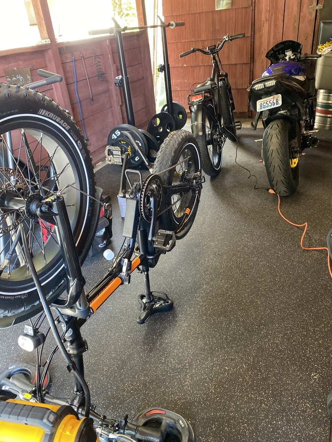 2019 Rad Power Bikes Rad Mini